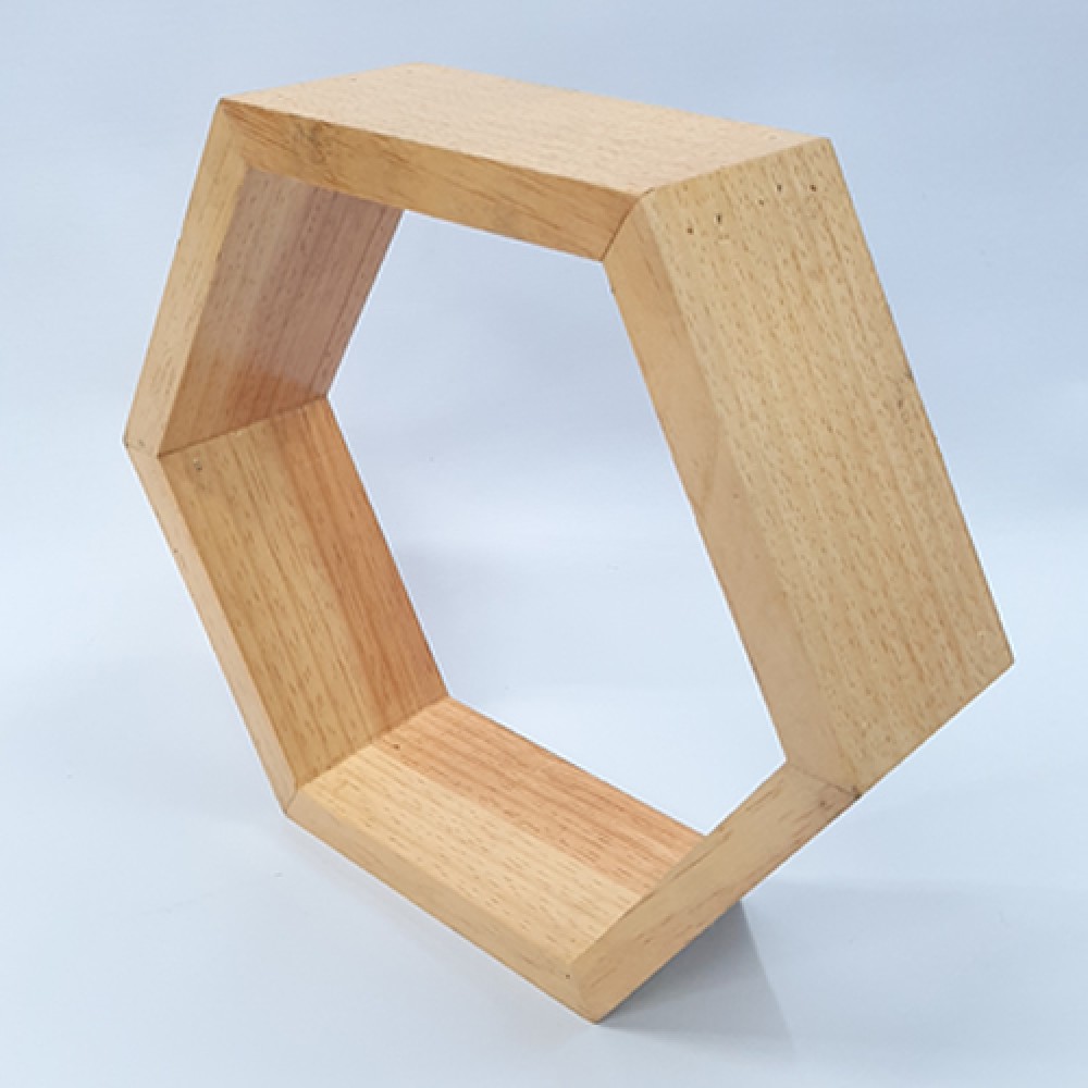 Nicho Hexagonal sem fundo